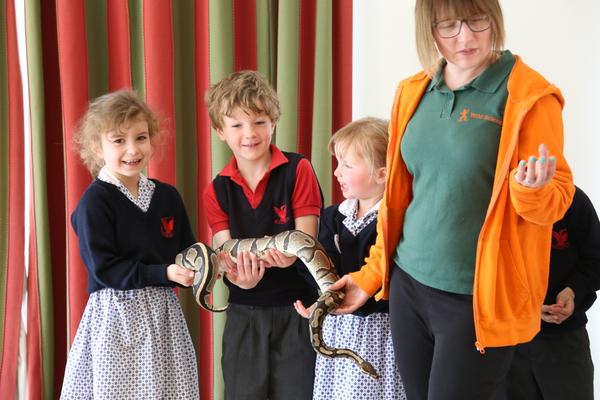 snake handling experience for children - WildSci