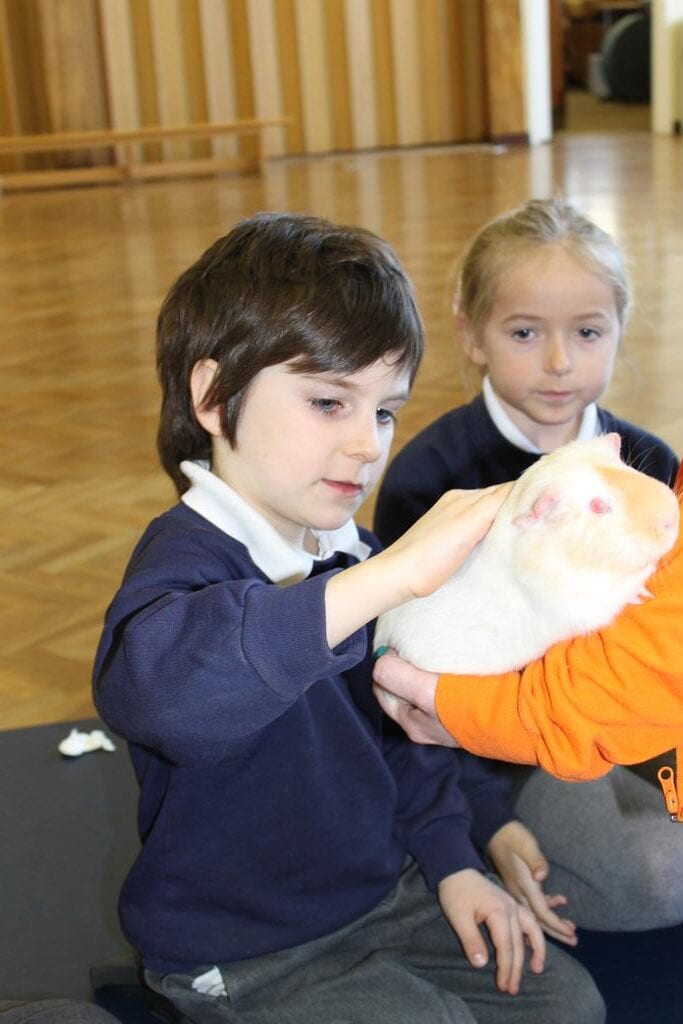 Animal workshop for school - WildSci