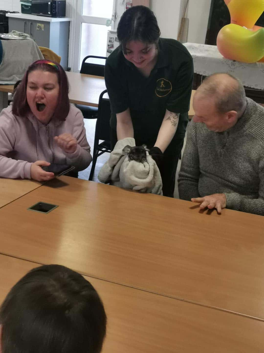 Best Animal Experiences UK | Mobile Animal Encounters